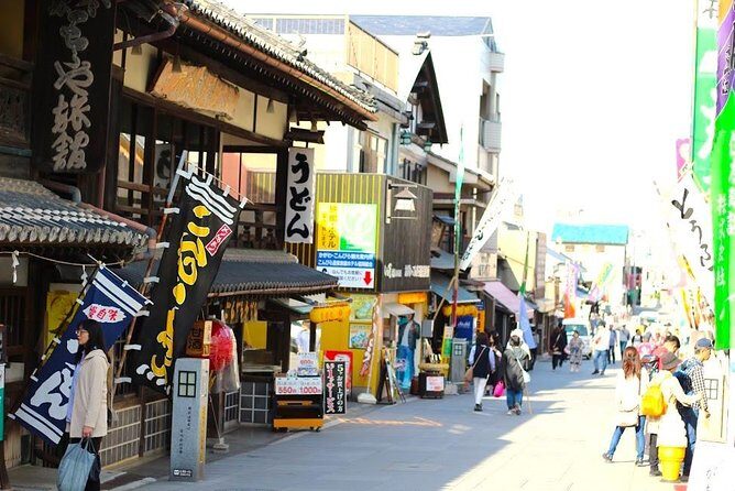 Takamatsu Half-Day Private Tour with Government-Licensed Guide - In-Depth Look at the Itinerary