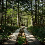 Takayama Autumn Private Tour Kamikochi & Shin-Hotaka Ropeway - Morning in Kamikochi: Quiet Beauty Before the Crowds