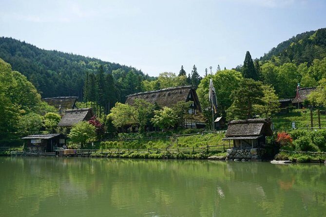 Takayama walking tour & Hida Folk Village - Who Should Consider This Tour?