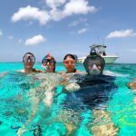 Take a Ride in your Buggie in Cozumel only from Tulum - What Do Travelers Say?