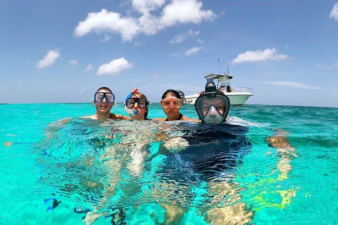 Take a Ride in your Buggie in Cozumel only from Tulum - What Do Travelers Say?