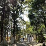 Take Shrine Activity with Lunch - Who Should Consider This Tour?