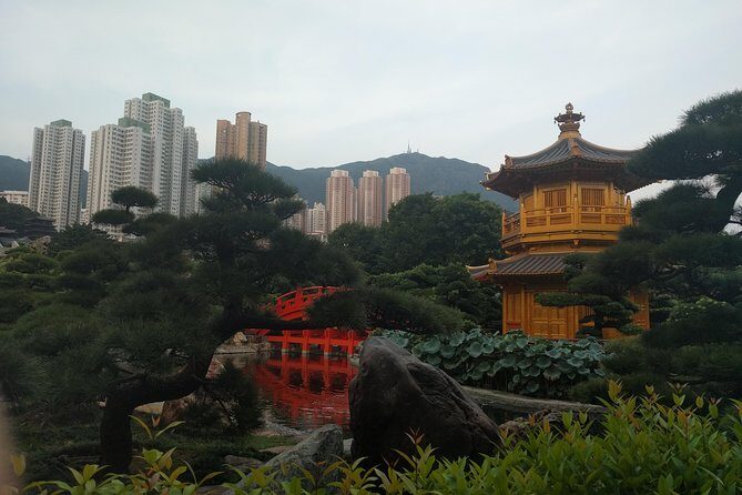 Taking you to every corner of Hong Kong! - Final Thoughts: Is This Tour Right for You?
