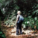 Taman Negara Rainforest Day Tour With Batu Caves Bonus Stop *25* - Value for Money: What Does $260 Get You?