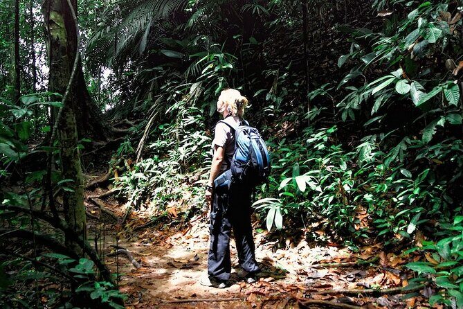 Taman Negara Rainforest Day Tour With Batu Caves Bonus Stop *25* - Value for Money: What Does $260 Get You?