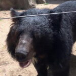 Tamao Mountain and Tonle Bati Private Day Trip from Phnom Penh - Final Thoughts: Who Should Consider This Tour?