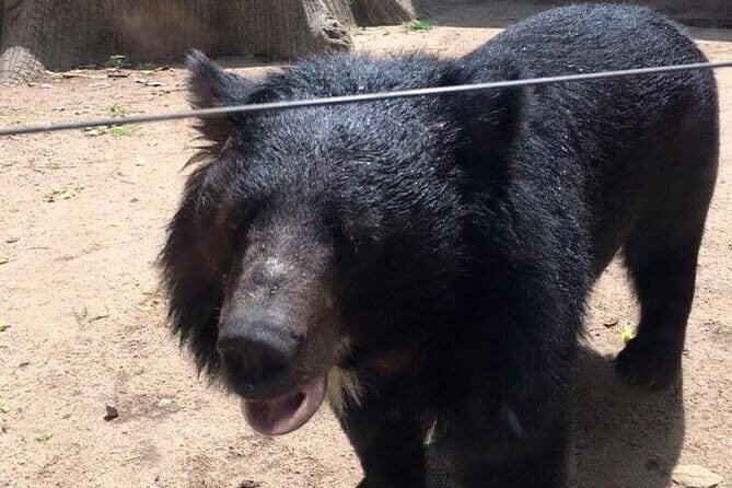 Tamao Mountain and Tonle Bati Private Day Trip from Phnom Penh - Final Thoughts: Who Should Consider This Tour?