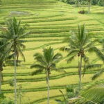 Tanah Lot & Banyumala Waterfall Private Tour - Who is This Tour Best For?