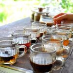 Tanah Lot, Jatiluwih and Ulundanu Bratan Highlights Private Tours - Authentic Experiences and Authenticity