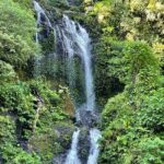 Tanah Lot - Ulun Danu Beratan Temple - Scenic Countryside Tour - Authentic Reviews from Travelers