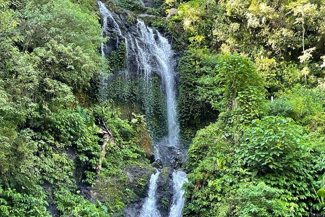 Tanah Lot - Ulun Danu Beratan Temple - Scenic Countryside Tour - Authentic Reviews from Travelers