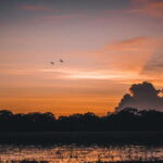 Tangalle/Hiriketiya: Yala National Park Safari in a 4x4 - What’s the Real Value?