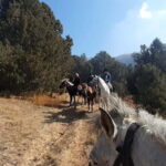 Tashkent: 3-Day Horseback Riding Tour in Chimgan Mountains - What Makes This Tour Special?
