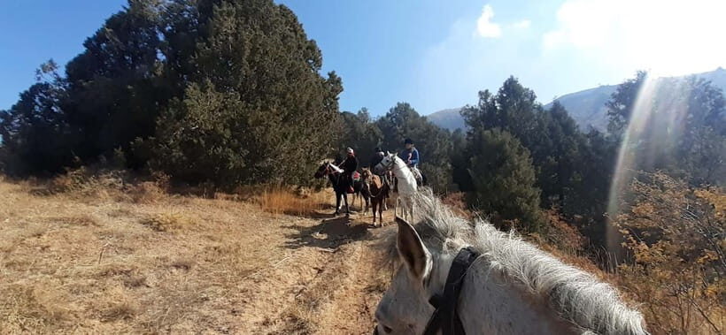 Tashkent: 3-Day Horseback Riding Tour in Chimgan Mountains - What Makes This Tour Special?