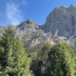 Tashkent Mountain tour - What Real Travelers Say