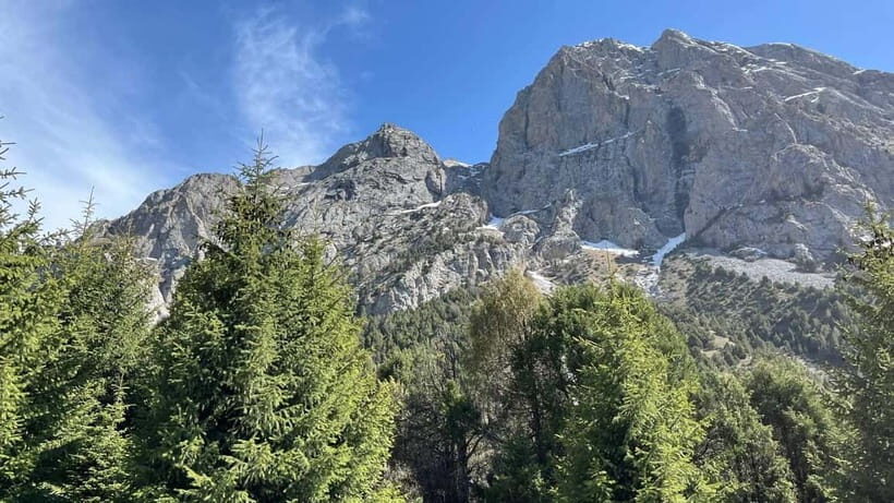 Tashkent Mountain tour - What Real Travelers Say