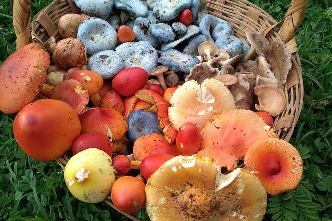 Taste and Tradition Acaxochitlán Culinary Tour from Mexico City - A Closer Look at the Itinerary