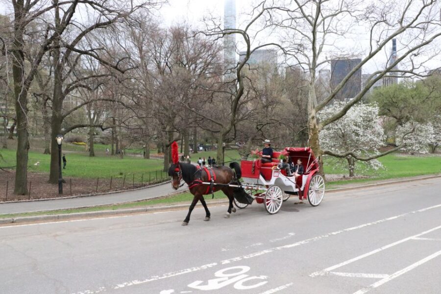 Tavern on the Green PickUp&DropOff With Horse Carriage Ride - Who Will Love This Experience?