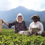 Tea Farm Tourism - Authentic Insight and Personal Touch