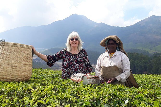 Tea Farm Tourism - Authentic Insight and Personal Touch