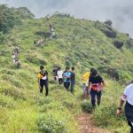 Tea Plantation, Grass Land and Mountain Hiking in Munnar - Key Points