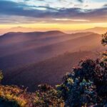 Tea Plantation Tour from Kandy - Practical Details and Considerations