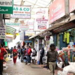 Tea plantation walk with Visit of Historical ,village & Market - The Sum Up