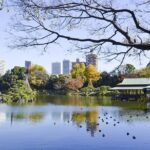 TeamLab Planets Walking Tour with Toyosu Fish Market Buffet Lunch - Practical Aspects and Value