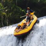 Telaga Waja Rafting: Challenging Adventure Rafting in Bali - Considering the Experience