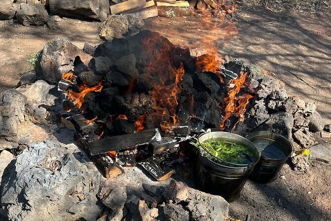 Temazcal Ceremony in Tepoztlan Healing and Tradition - What Travelers Are Saying