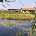 Temecula Treasures Wine Tour - The Value of This Experience