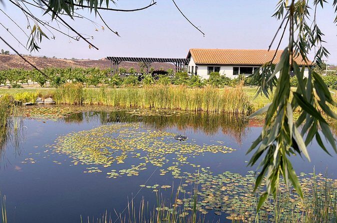 Temecula Treasures Wine Tour - The Value of This Experience