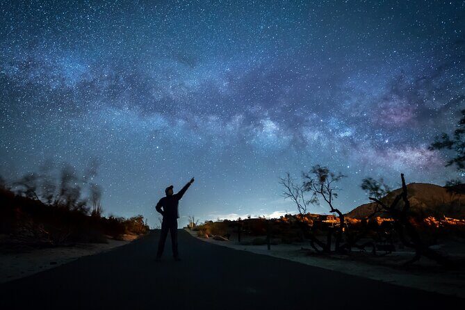 Temecula Wine Country Stargazing Tour - Authentic Feedback from Participants