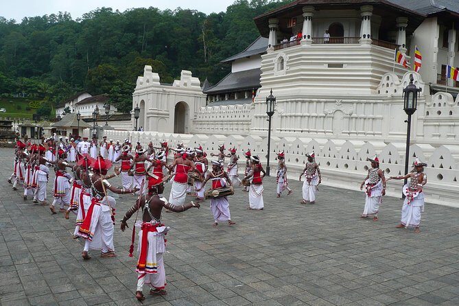 Temple of the Tooth & Royal Botanical Gardens Tour - Authentic Experiences and Traveler Insights