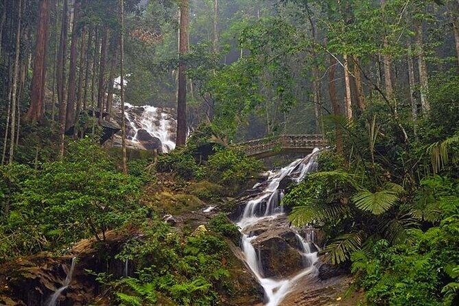 Templer Park and Kanching Waterfall Nature Tour - Who Should Consider This Tour?