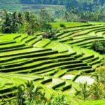 Temples and Heritage - Final Thoughts