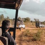 Temples and Wilderness from Negombo (2 Days) - Transportation and Logistical Value