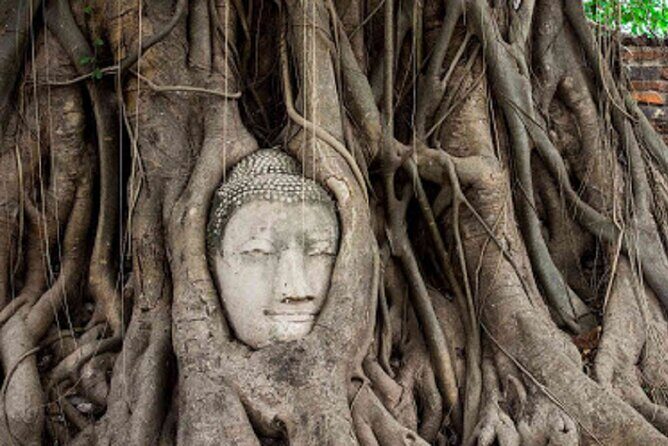 Temples of Ayutthaya Day Tour from Bangkok - Reflection on the Tour Experience and Practical Details