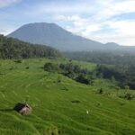 Tenganan Village Rice Field Trekking Tour - Practical Details & Tips