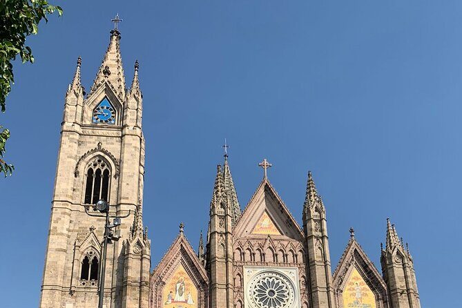 Tequila Premium Tour Destination Agave - The Full Picture of the Tour