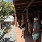 Tequila Tasting Tour in Nuevo Vallarta - An In-Depth Look at the Tour Experience