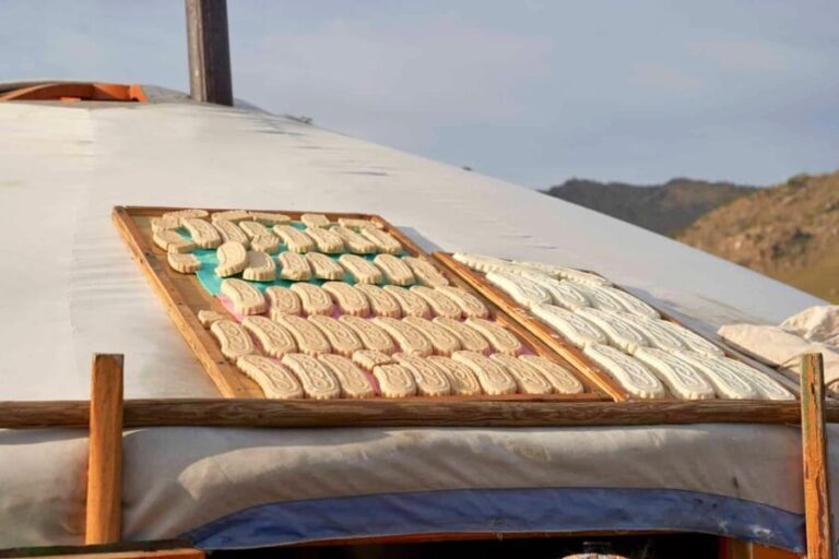 Terelj ,Khar khorum ,Horse ride , Camel ride , Monastery - Detailed Breakdown of the Itinerary