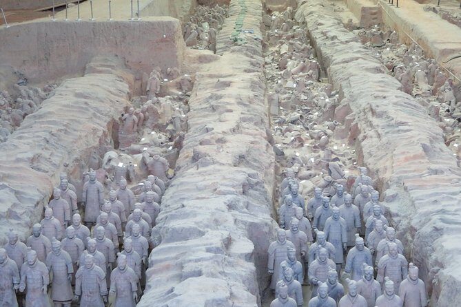 Terra Cotta Army Museum Tour with Noodle / Dumpling Making Class - What Recent Travelers Say