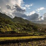 Terraced Rice Fields and Mountain Views hike  4D3N - Why This Tour Offers Great Value