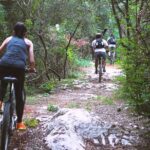 Thalangama Wetland Cycling Tour from Mount Lavinia - The Overall Value for Your Money