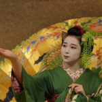 The Art of Geisha: Exclusive Show & Traditional Japanese Game - Why This Tour Will Appeal to You
