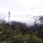 The backpackers trail to Elephant Spine  Knuckles - The Surroundings and Cultural Insight