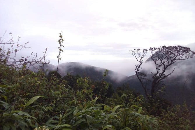 The backpackers trail to Elephant Spine Knuckles - The Surroundings and Cultural Insight