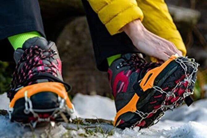 The BANFF NATURE Walk - 2hr Adventure - Who Should Book This Tour?