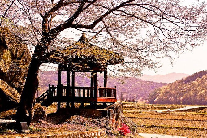 The Beauty of the Korea Cherry Blossom Discover 9days 8nights - Day 3: Gyeongju’s royal past and local flavors
